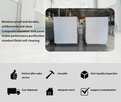 Cina pannello isolante composito di acciaio EPS resistente all'acqua con stile di design contemporaneo in vendita