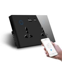 China Touch Panel  Smart Switch Socket Wifi Single Double Wall Socket 20W for sale