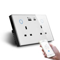China Touch Panel  Smart Switch Socket Wifi Single Double Wall Socket 20W for sale