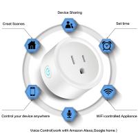China Automation System Smart Switch Socket 10A Alexa Wireless Socket Switch for sale