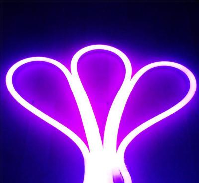 China Brightron Super Quality dmx neon tube color changing led neon tubes Shenzhen led neon flex for sale