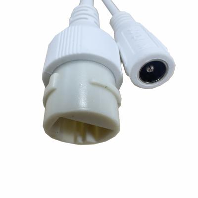 Cina Ip Camera Electric Ethernet Cable Assembly RJ45 8P8C DC5.5*2.1 Infisso 1.25-10PIN 024 in vendita