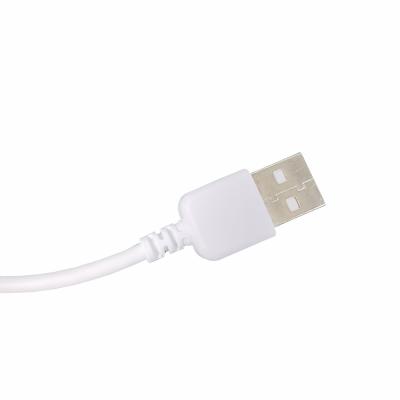 Cina USB 2.0 A TYPE C Cavi di caricabatterie USB2.0B Microcavo dati in vendita