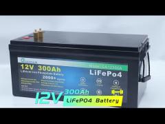 Enduring 12V LifePO4 Lithium Battery , 24V Electric Car LifePO4