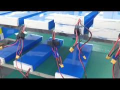 Lithium Ion Golf Cart Lithium Battery 2000 Cycle Rechargeable Customizable