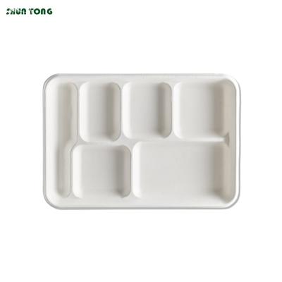 China Biodegradable Bagasse Clamshell Containers Food Trays 321mm 6 Compartment for Mass Catering for sale