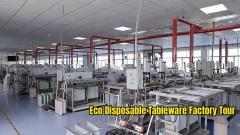 Eco Disposable Tableware Factory Tour Sustainable Solutions