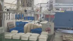 Biodegradable Sugarcane Pulp Tableware Production Line (PFAS-Free)