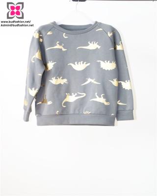 China Wholesale Custom Kids Fleece Print Long Sleeve Jacket Pullover for sale