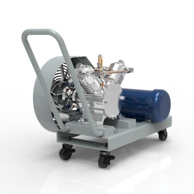 China 230V 50Hz 3PH bomba de recuperação de butano para fábrica de alimentos e bebidas à venda