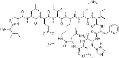 China Zinc Bacitracin CAS NO.1405-89-6 C66H101N17O16SZn Feed Addictives for sale