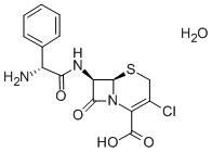 China Cefaclor CAS NO.70356-03-5 C15H14ClN3O4S.H2O Human antibiotics for sale
