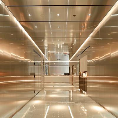 Cina Rivestimento in acciaio inossidabile resistente alle intemperie in vendita