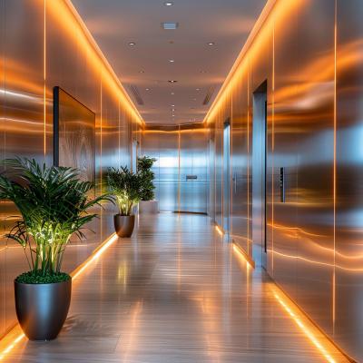 Cina Rivestimento in acciaio inossidabile architettonico, di texture nere, per facciate di edifici accattivanti in vendita