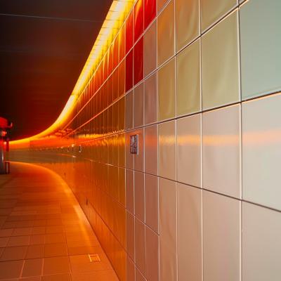 China High Solidity High Gloss Aesthetic Vitreous Enamel Panel For Modern Buildings for sale