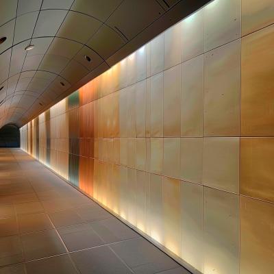 China High Performance Solidity Robust Vitreous Enamel Panel For Industrial for sale
