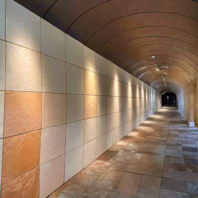 China Non-Porous Hygienic Vitreous Enamel Panel For Medical Facilities for sale