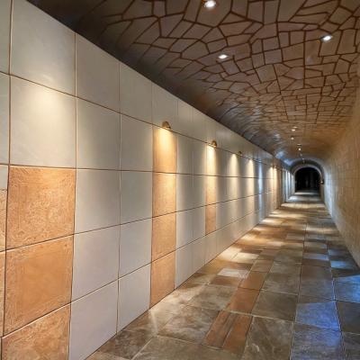 Cina Innovativo pannello di smalto vetroso all'avanguardia per l'architettura moderna in vendita