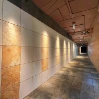 China Expanded Large-Scale Vitreous Enamel Panel 2500x1400mm for Architectural Cladding for sale