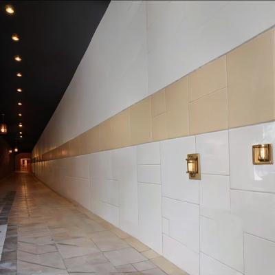 Modular Interchangeable Vitreous Enamel Panel for Variable Configurations