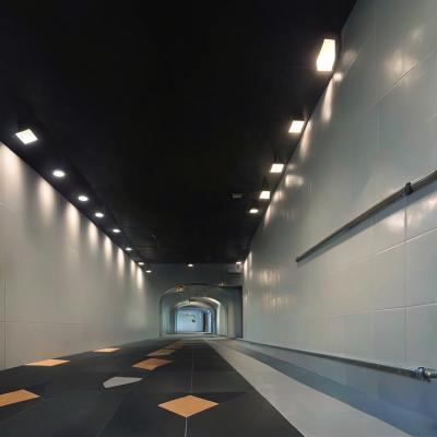 China Innovative Adaptive Vitreous Enamel Panels for Changing Needs for sale