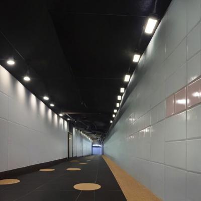 China Visually Appealing Artistic Vitreous Enamel Panels for Public Displays for sale
