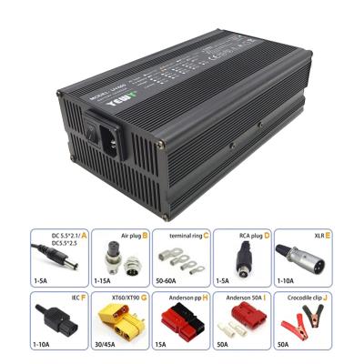 Cina caricatore automobilistico accumulatore per di automobile elettrica di 24V 20A efficiente e versatile in vendita