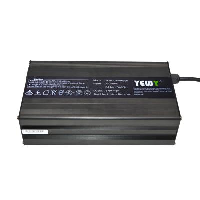 Cina 24v powerful battery charger for Forklifts and Shifting Tools in vendita
