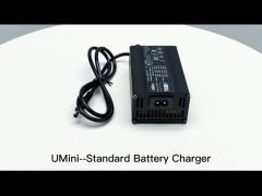 Umini Lead acid Li-on battery charger