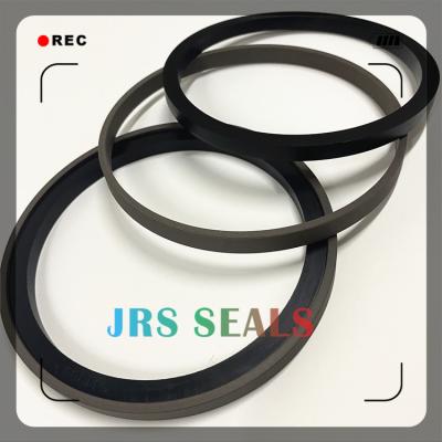 Cina 5J5559 4T5172 8C5215 4T5173  SPG SPGA SPGW PTFE C.A.T NYLON NBR PISTON SEAL in vendita
