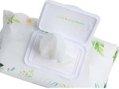 Wet Wipe Cover