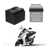 Quality Rechargeable 48V 50Ah Lifepo4 Battery Electric Motorcycle Lithium Ion Battery for sale
