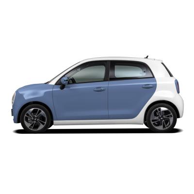 China Grote Muurora R1 Zwarte Cat Electric Car 102km/H Hoge snelheid Te koop