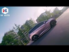 Long Range BYD EV Car 405km Endurance BYD Dolphin Honor  Electric Cars