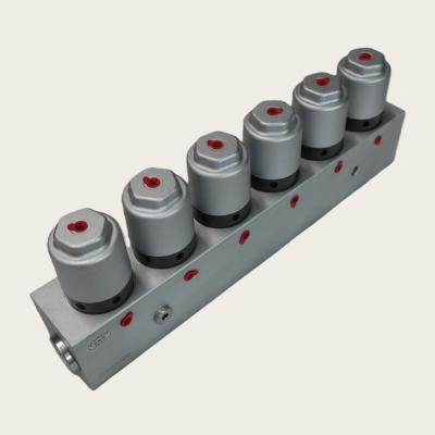 China 300L/min Cartridge Valve Assembly Easy-Maintenance Cartridge Valve Stainless Steel Cartridge Valve Stable Flow Control Valve for sale