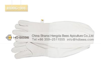 China HD-BEES Beekeeping Gloves HDBG-001 for sale