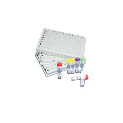 China miRNA qPCR Assay Kit (Probe Method) for sale