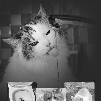 Cina Dispensatore di acqua in ceramica per animali domestici di grande capacità Controllo odore resistente ai batteri in vendita