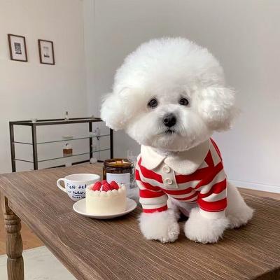 Cina T-shirt per animali da compagnia per cani e gatti per cani e gatti per gatti da compagnia per gatti da compagnia per cani e gatti da compagnia per gatti da compagnia per gatti da compagnia per gatti da compagnia per gatti da compagnia per gatti da compagnia per gatti da compagnia per gatti in vendita