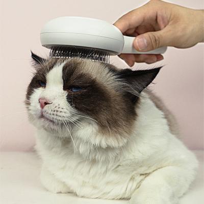 Cina Strumenti per la pulizia degli animali domestici senza fili e staccabili, spazzola per la rimozione del sottopelo per gatti, alimentata a batteria, impermeabile in vendita