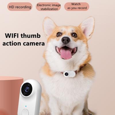 Cina Telecamera per animali domestici con collare wireless in metallo, app gratuita, visione notturna, Full HD 1080p in vendita