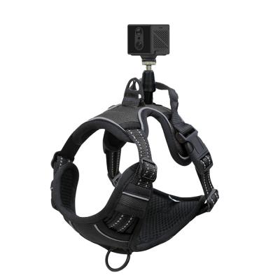 Κίνα Χωρίς μηνιαία συνδρομή GPS Tracker Μεγάλη διάρκεια μπαταρίας Παγκόσμια κάλυψη Ανταλλακτικό κολάρο προς πώληση