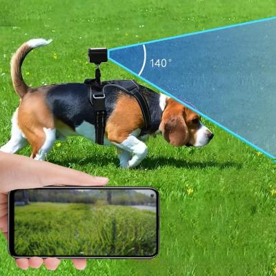 Cina Tracker GPS senza canone mensile, lunga durata della batteria, copertura globale, collare di ricambio in vendita