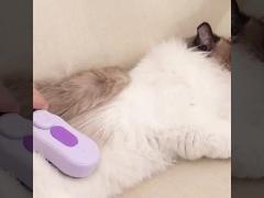 OEM 슈퍼 조용한 흡수 고양이 정화 브러쉬 두꺼운 코트 얇은 머리카락 고속