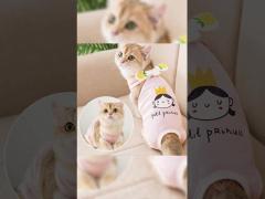 여름복 조정 가능한 허리띠 방수 코트 개복 부드러운 가벼운