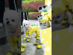 Impermeabile per cani con cappuccio e alta elasticità, sartoria 3D, ispessito, logo personalizzato