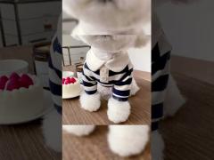 부드러운 여름 반려동물 티셔츠 개 고양이 착용 의류 흡수성 방수성 방출성