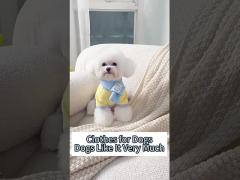 Pressure Relief Dog Wear Clothes Waterproof Breathable Dog T Shirt Custom Made
