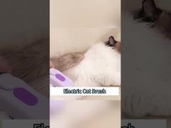분리 할 수 있는 무선 애완 동물 청소 도구 고양이 벗기 브러쉬 배터리 전원 방수
