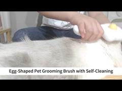 Non scivolare Pet Nail Trimmer clipper Pulizia profonda Alcol libero Quick Trim Dolore basso